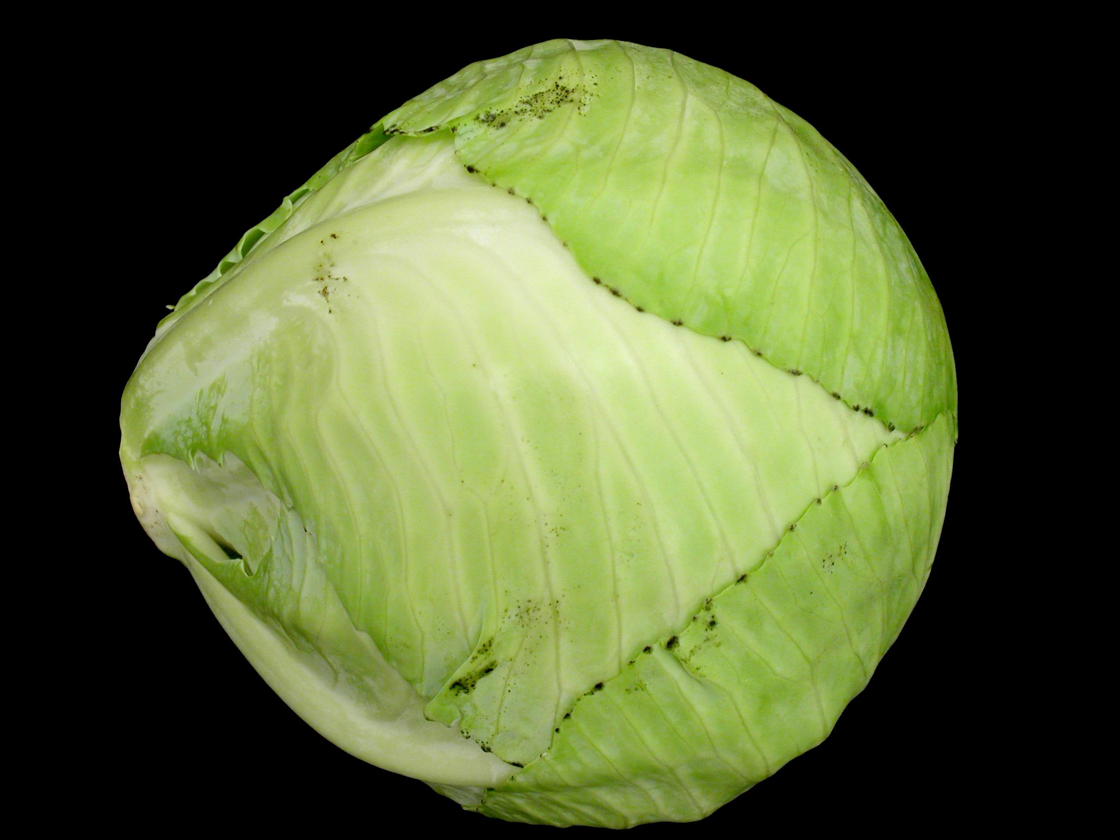 IRIIS phytoprotection - Fiche technique, Guttation - Chou pommé