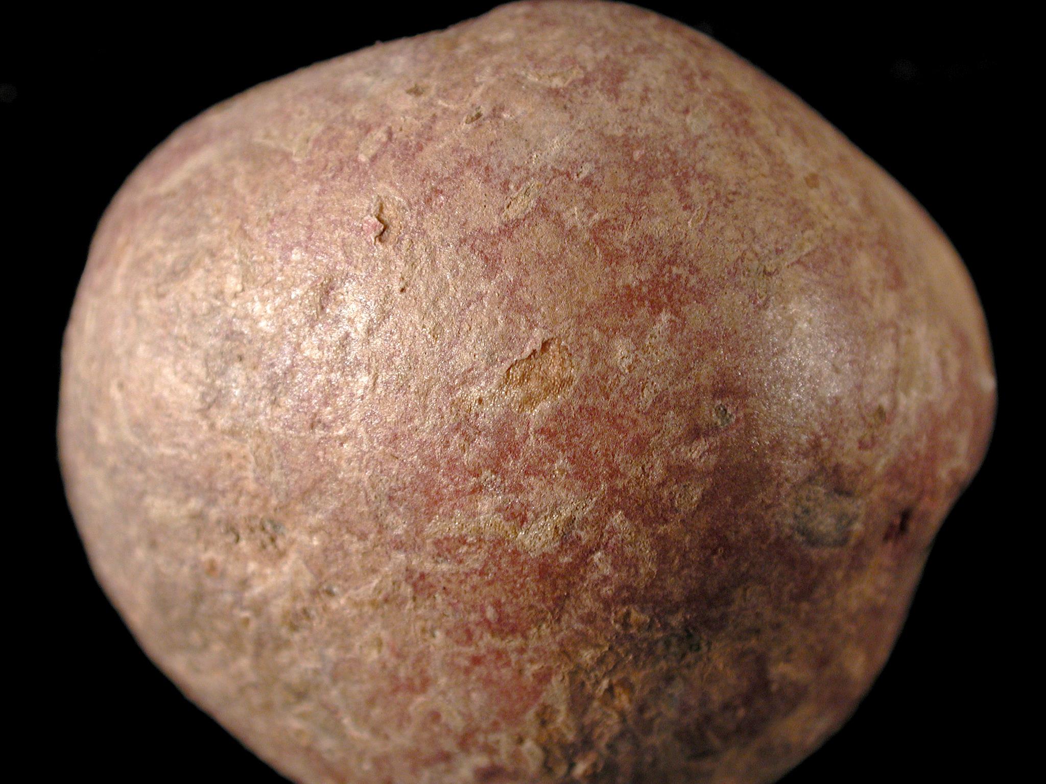 IRIIS phytoprotection - Fiche technique, Maladie Tache argentée (syn ...