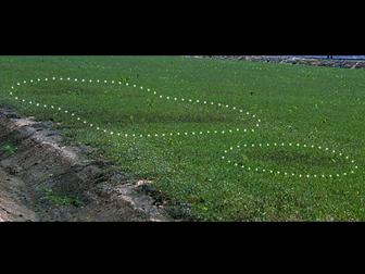 IRIIS phytoprotection - Fiche technique, Arpenteuse bituberculée ...