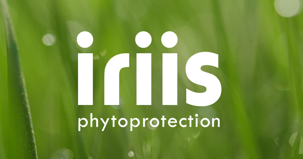 IRIIS phytoprotection - Fiche technique, Excès d'eau et de pluie ...